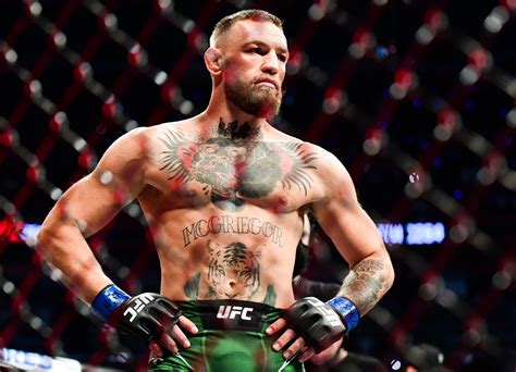 Conor Mcgregor Son Incroyable Yatch Lamborghini à 3 Millions Deuros Photos Sport Fr