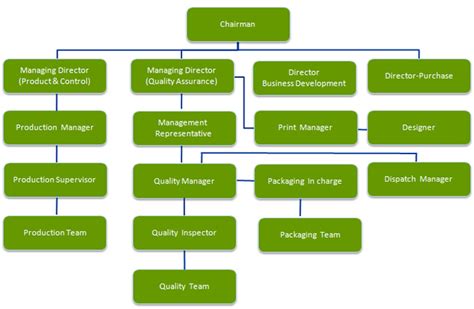 Company Management Structure