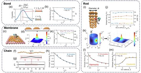 4386 A Universal Entropic Pulling Force Caused By Binding Department