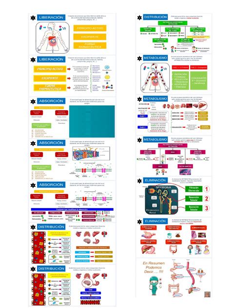 Proceso Ladme Pdf