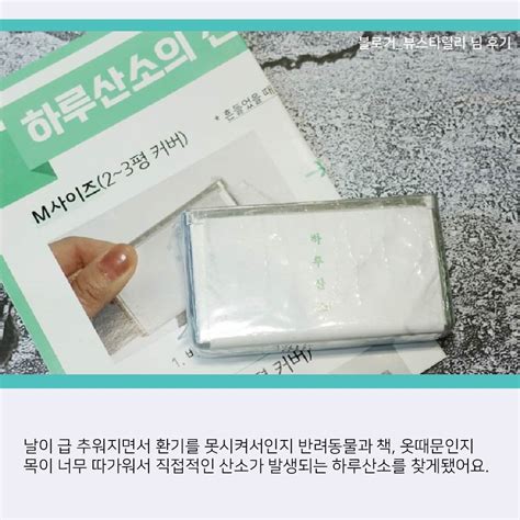 하루의가치 하루산소 순수한설거지바 BAND