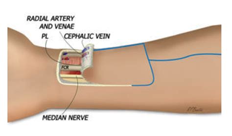 EmDOCs Net Emergency Medicine EducationMedical Malpractice Insights