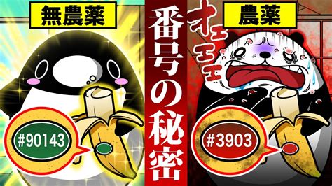 実は危険！？スーパーに売っているバナナの秘密分析・参考 なんでも！一覧中集