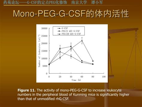 Ppt G Csf 的定点 Peg 化修饰 Powerpoint Presentation Free Download Id 4118285