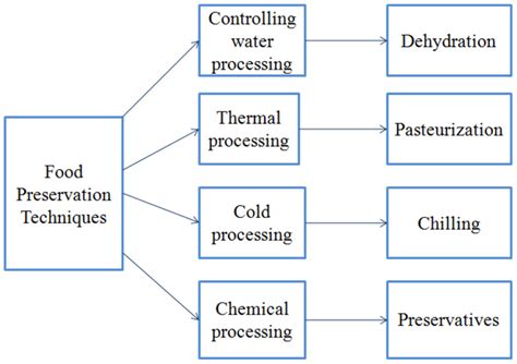 Food Preservation Techniques Download Scientific Diagram