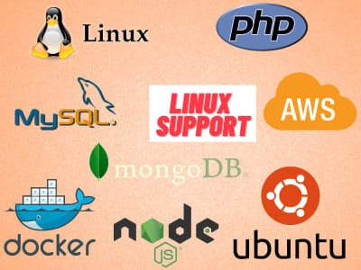 Setup Manage And Troubleshoot All Types Of Issues In Linux Server Upwork