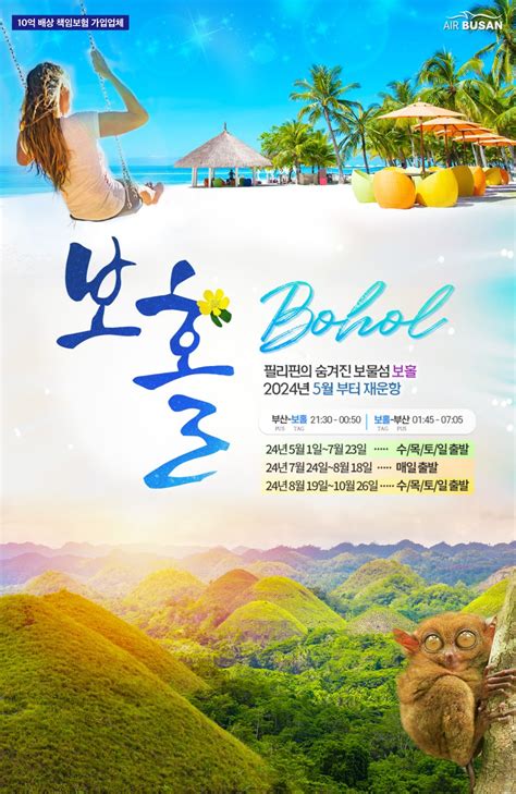 보홀직항 5 1부터 주4회 5일 6일 풀엑세스룸 에어부산 발리카삭 초콜릿힐 세미팩 반자유 가심비 돌핀베이