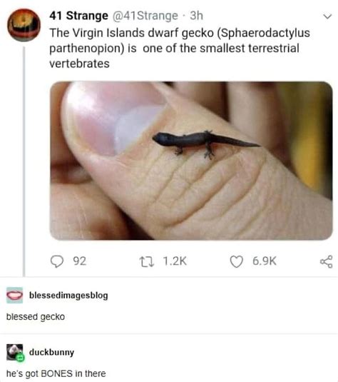 50 Animal And Nature Memes As Shared By Members Of This Popular