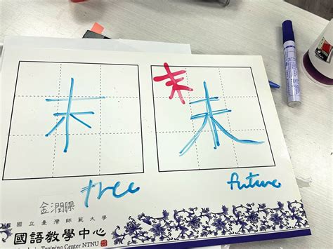 Mandarin Class Mekong Review