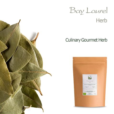 Laurel De Hierbas Orgánicas De Laurel Hoja De Calidad Culinaria Entera