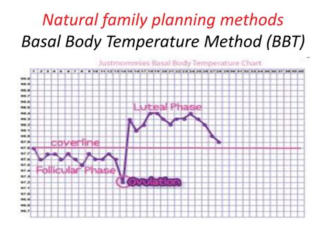 Ppt Contraception Powerpoint Presentation Free Download Id 5510119