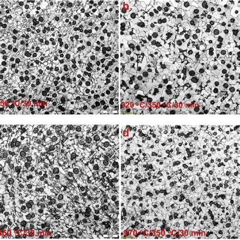 E Optical Micrography Of Alloyed Ductile Iron At A 900 C350 C30min