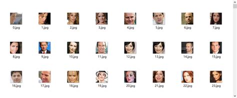 【人脸检测】mtcnn 全流程详解 Pytorch代码mtcnn 是但类别多目标检测模型吗 Csdn博客