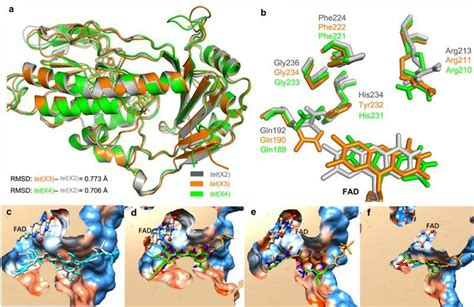 Nature子刊：江苏省农科院、中国农大合作发现新型可转移的高水平替加环素耐药机制 知乎