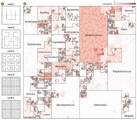 Manual And Documentation — Microbiome Maps And Jasper Hilbert Curve