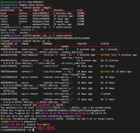 dockerfile构建镜像 游明诚 博客园