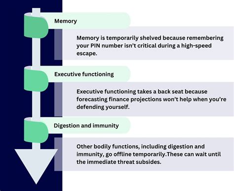Unlocking Your Brains Potential Taming The Amygdala Hijack