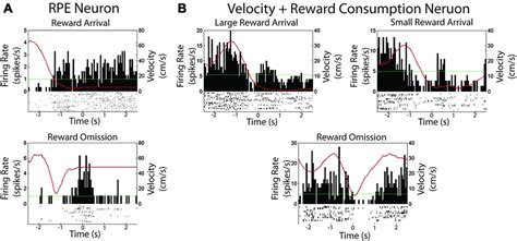 Two Neurons Were Found To Be Modulated By Reward In Experiment 1 A Download Scientific