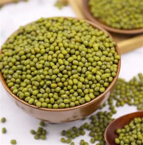 Green Mung Beans Green Vigna Beans Green Gram Beans Buy Green Mung Beans Green Vigna Beans
