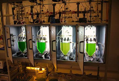 Cell Analysis And Cell Quantification Institute For Biodiversity And