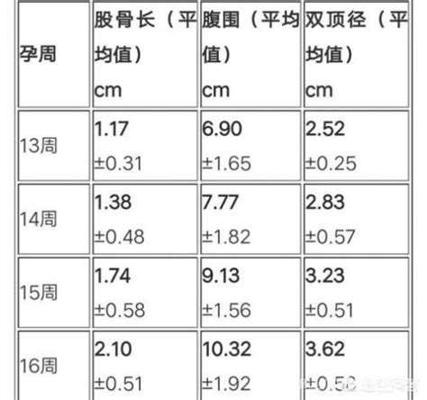 怀孕24周胎儿的腹围是多少正常请问胎儿腹围偏大说明什么 综合百科 绿润百科