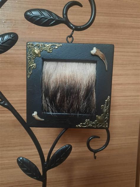 Taxidermy Oddities Multi Frame Display Piece Etsy