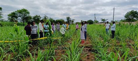 Shahirabanu Mulla On Linkedin Dear Connection Conducted Field Day Of