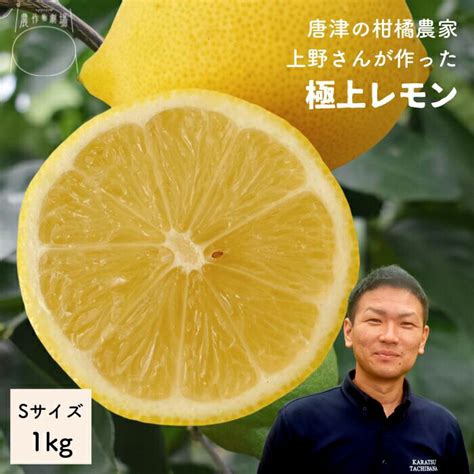 【楽天市場】送料無料 レモン Sサイズ 1kg 国産 佐賀県産 ノーワックス もぎたて 檸檬 果物 唐津 柑橘 シトラス ギフト お返し 人気