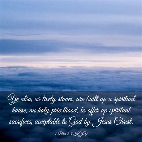 1 Peter 25 Kjv Bible Verse Images