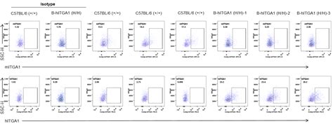 Human Itga1 Mice Gene Humanized Mouse Models Biocytogen