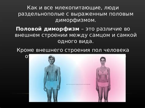 Размножение человека - Биология - Уроки - 8 класс