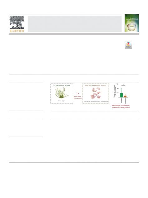 Macroalgal Morphology Mediates Microplastic Accumulation On Thallus And