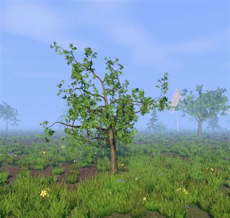 fractals to forests creating realistic 3d trees with three js codrops
