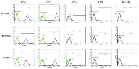 The Histograms Representing The Expression Of Rabbit Mscs Surface Download Scientific Diagram
