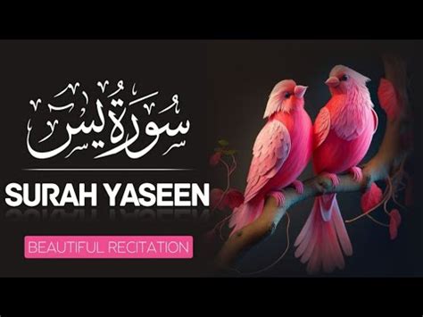 Surah Yasin Yaseen Full With Arbic Beautiful Recitation YouTube