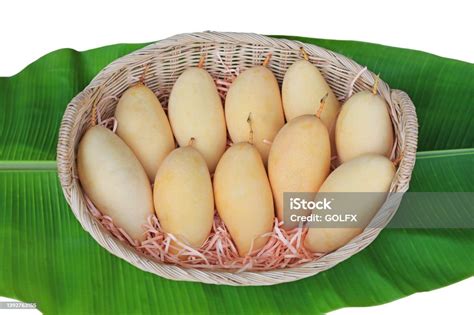 흰색 배경에 고립 된 신선한 녹색 바나나 잎에 등나무 바구니에 황금 망고 과일 잘 익은 노란색 바라쿠다 망고 태국 열대 과일 0