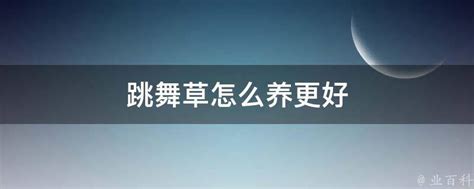 跳舞草怎么养更好 业百科