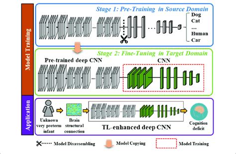 Schematic Diagram Of The Proposed Transfer Learning Enhanced Deep Cnn