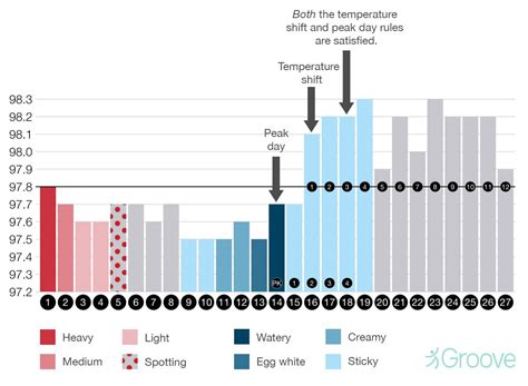 Sympto Thermal Method Printable Charts Bruce L Seabolt