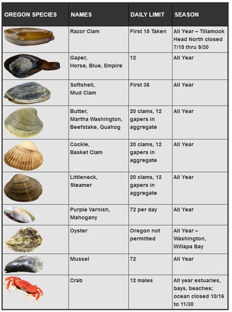 How To Tell Your Clams Apart Artofit