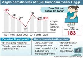 Pengaruh Program Jaminan Kesehatan Nasional Dalam Mengurangi Angka Kematian Ibu Jurnalpost