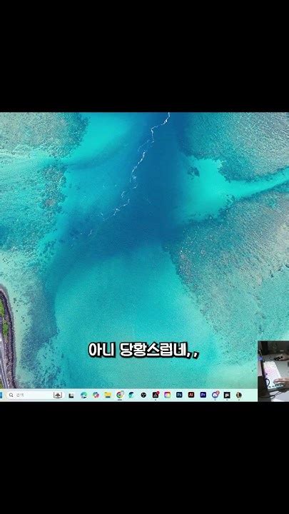 후방주의 롤 이상형 월드컵 하다 정지당할 뻔함 Youtube