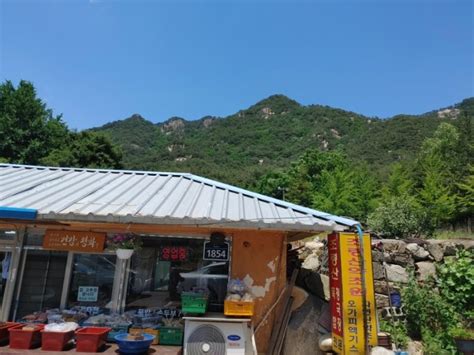 괴산 조령산자연휴양림 맛집 조령산묵밥청국장