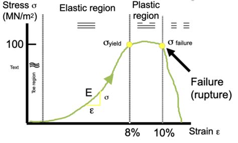 Exam 1 330 Flashcards Quizlet