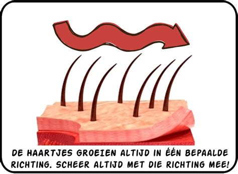 Hoe Scheer Je Je Lichaam Slides