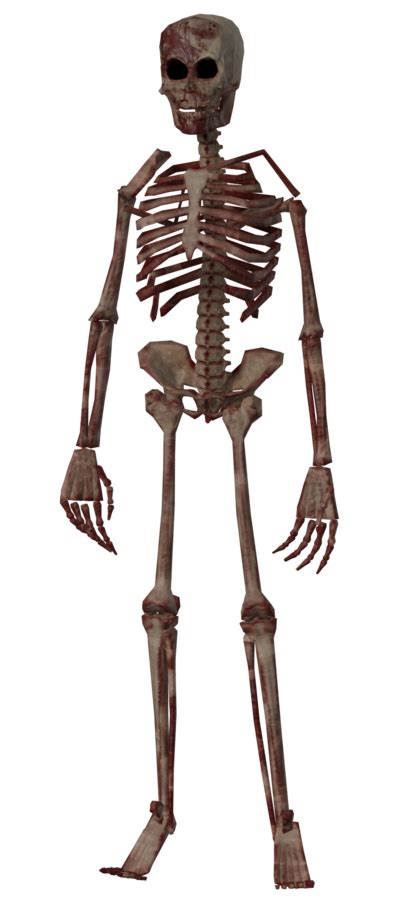 File Scp 3114 Png Scp Secret Laboratory Hub Wiki