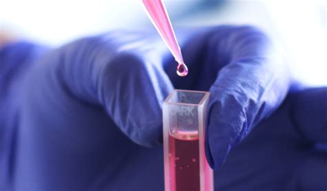 Babe Of Science BSc Microbiology Labs Computing