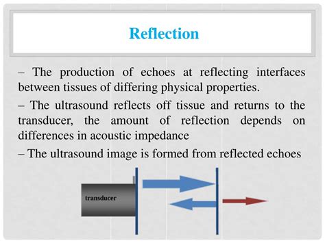 PPT Ultrasound PowerPoint Presentation Free Download ID