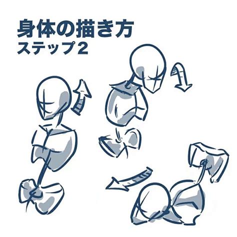 绘画参考 转需 身体结构1 Shori（id2592426）