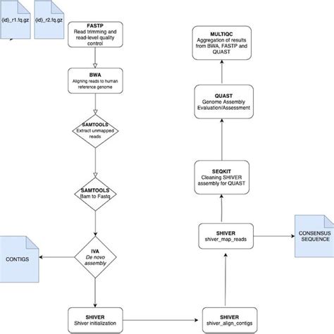 a schematic workflow of vgea user supplied paired end fastq files are